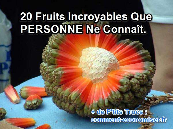 20 Fruits Incroyables Que Personne Ne Connaît.