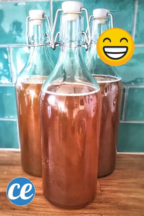 La Recette Facile Du Kombucha Fait Maison (Seulement 4 Étapes).