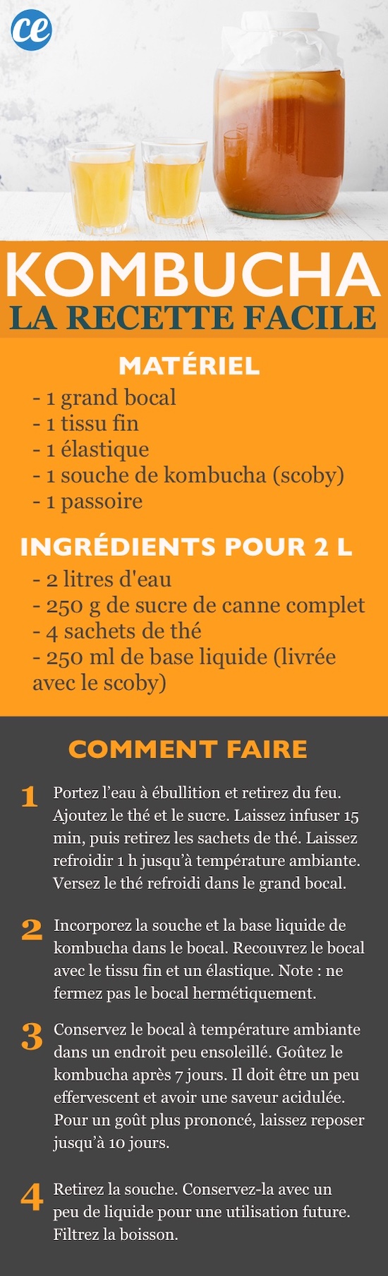 La Recette Facile Du Kombucha Fait Maison (Seulement 4 Étapes).