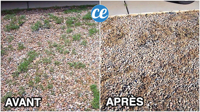 Comment Éliminer Les Mauvaises Herbes Qui Poussent Dans Le Gravier.
