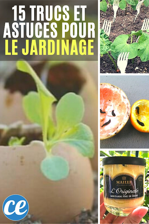 15 Trucs & Astuces de Jardinage Que les Pros Gardent Jalousement.