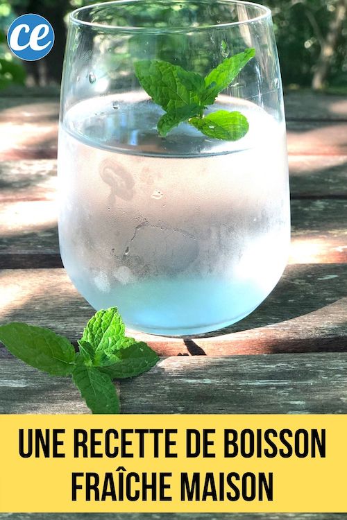 Une Recette de Boisson Fraîche Maison Que Vous Allez Adorer.