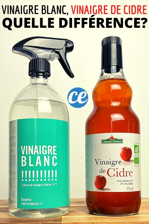 Quelle Différence entre le Vinaigre Blanc et le Vinaigre de Cidre