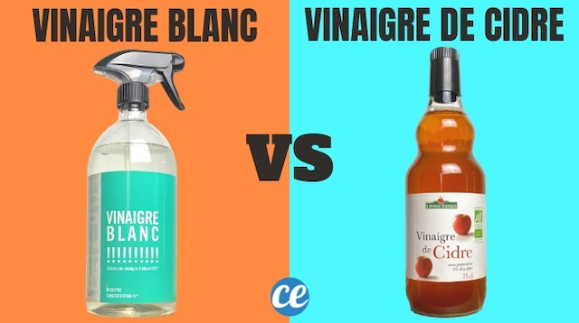 Quelle Différence entre le Vinaigre Blanc et le Vinaigre de Cidre