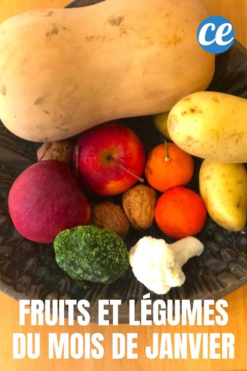 Pour Mieux Manger, Choisissez des Fruits et Légumes de Saison pour Janvier.