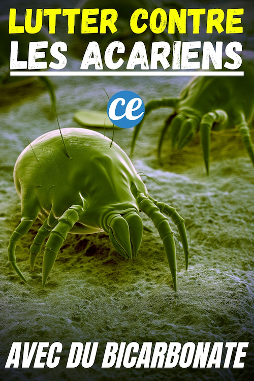 Comment Se Débarrasser des Acariens Avec du Bicarbonate de Soude.