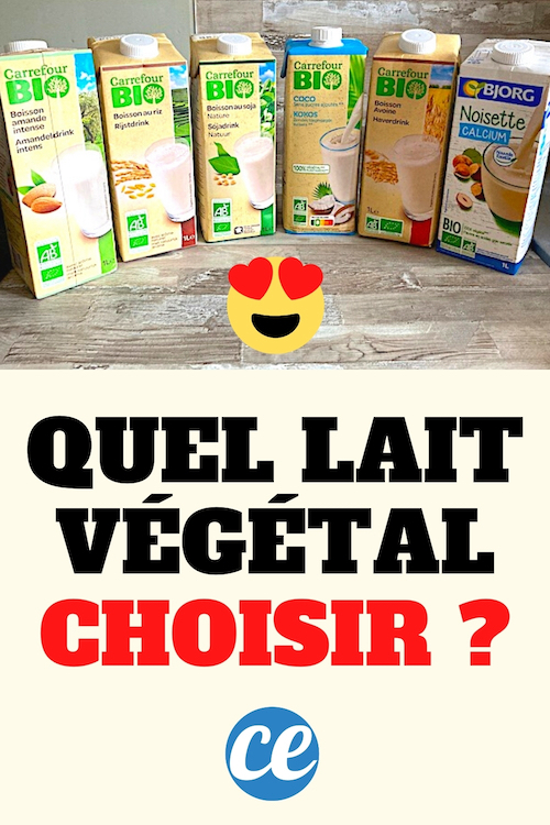 Quel Lait Végétal Choisir ? Les Meilleurs Pour la Santé.