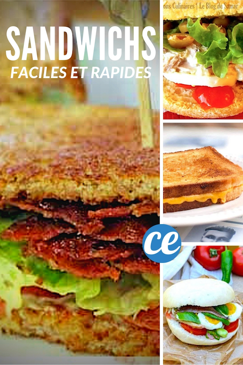 10 Recettes de Sandwichs à Tomber Par Terre (Faciles et Rapides à Faire).