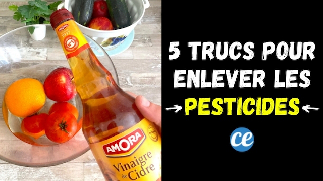 5 Astuces Pour Éliminer un Maximum de Pesticides sur Nos Fruits & Légumes.