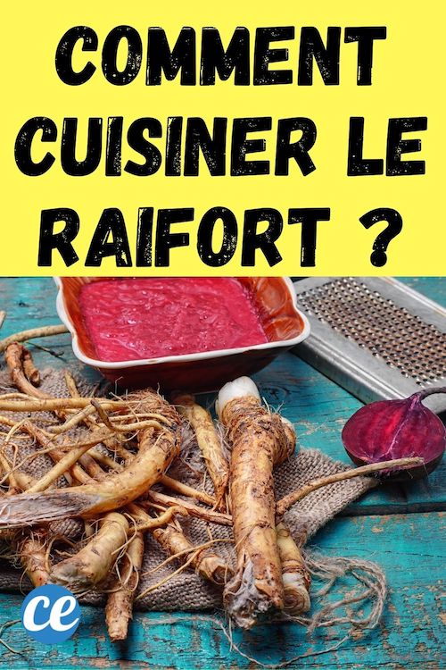 Les 10 Bienfaits du Raifort Sur la Santé (Que Personne Ne Connaît).