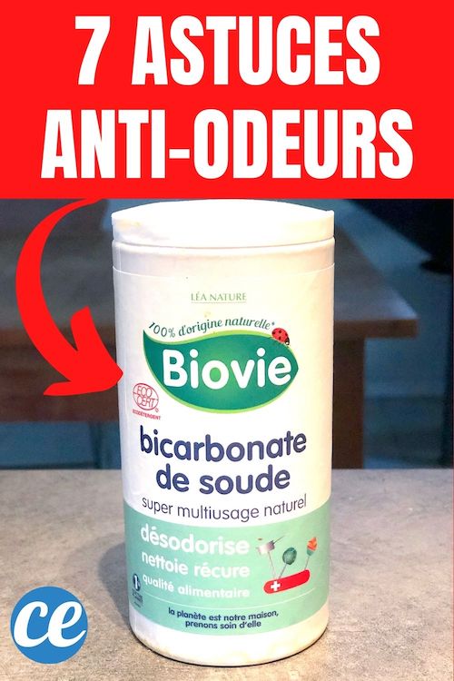 7 Astuces Pour en Finir avec les Mauvaises Odeurs à la Maison.