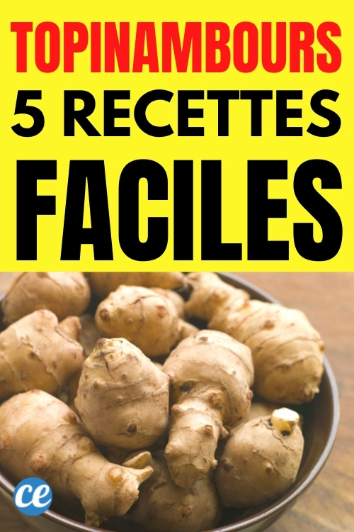 Topinambour : 5 Recettes de Saison Pour le Cuisiner Facilement.