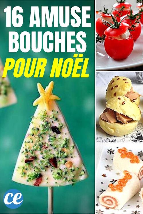 Amuse-Bouches de Noël : 16 Recettes Pas Chères et Super Faciles à Faire.
