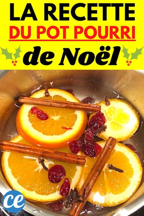 Comment Faire un Pot-Pourri de Noël en 2 Min (Et Parfumer Toute Sa Maison).