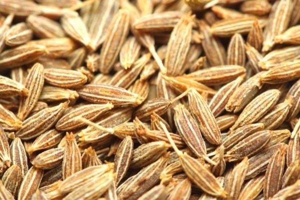 Cumin : 12 Bienfaits Puissants de Cette Épice Miracle (Et Comment l ...
