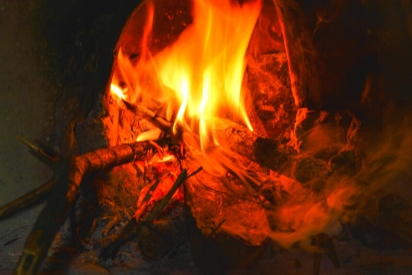 10 Astuces Pour Recycler Son Sapin de Noël (Et Lui Donner une Seconde Vie).