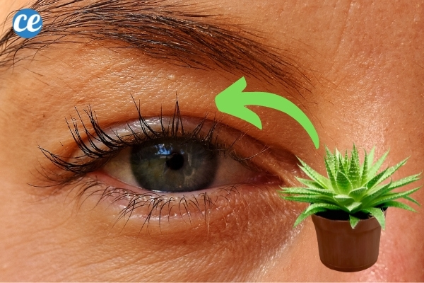 9 Astuces Naturelles Pour Faire Pousser les Cils Rapidement.