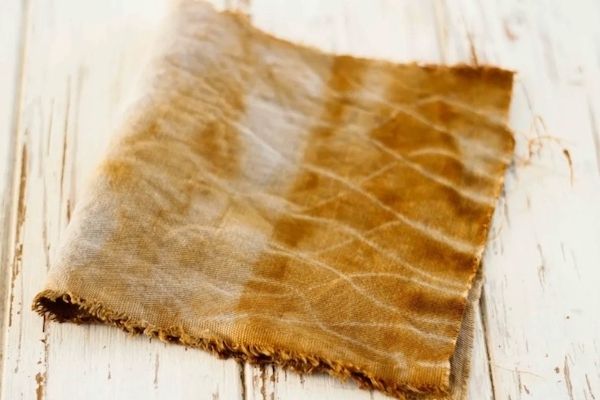 Cheveux, Bois, Insectes... 7 Utilisations du Brou de Noix Méconnues.