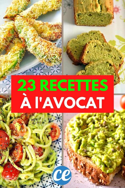 23 Recettes Originales Avec un Avocat (Faciles et Rapides à Faire).