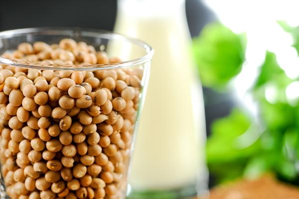 Les 20 Aliments Les Plus Riches en Eau (à Manger Quand Il Fait Chaud).