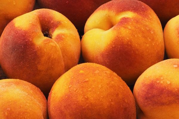 Les 20 Aliments Les Plus Riches en Eau (à Manger Quand Il Fait Chaud).