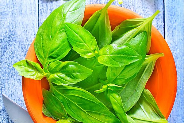 L'Astuce Pour Conserver le Basilic Frais (Pendant des Mois).