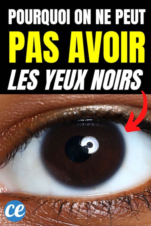 Pourquoi les Humains Ne Peuvent Pas Avoir les Yeux Noirs.