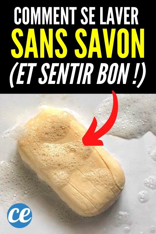 Comment Je Me Lave Sans Savon Depuis 1 an et demi (Et Ne Pue Pas Pour ...