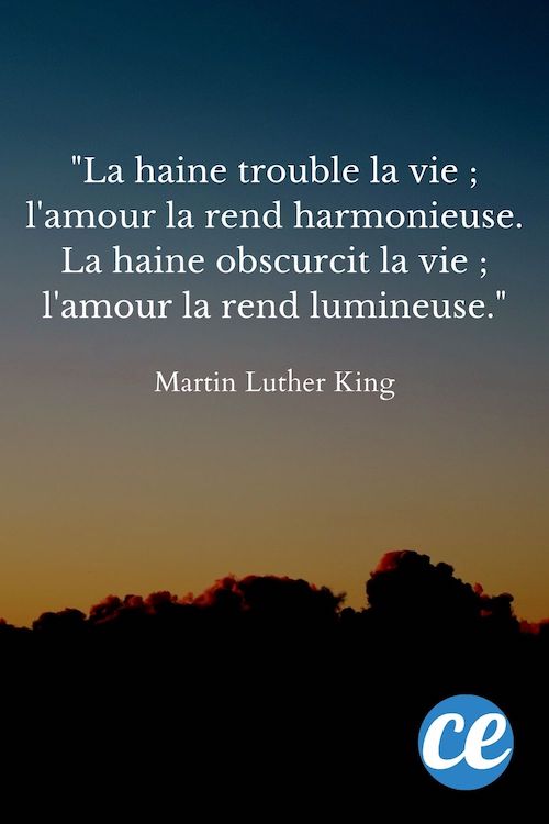 118 Citations Sur le Bonheur (Pour Retrouver le Sourire).