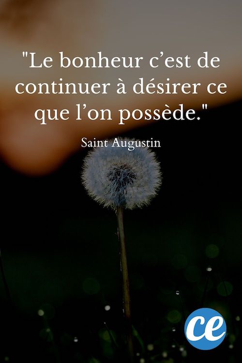 118 Citations Sur le Bonheur (Pour Retrouver le Sourire).