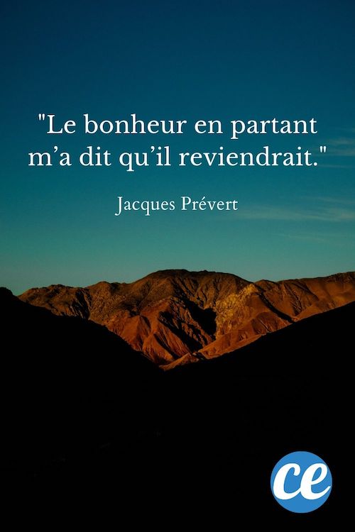 118 Citations Sur le Bonheur (Pour Retrouver le Sourire).