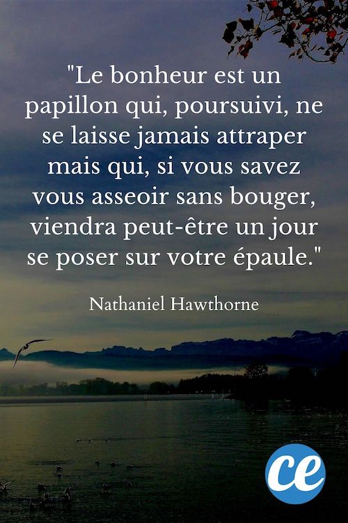 118 Citations Sur le Bonheur (Pour Retrouver le Sourire).