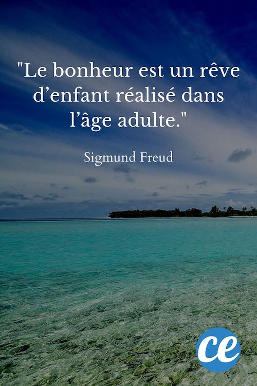 118 Citations Sur le Bonheur (Pour Retrouver le Sourire).