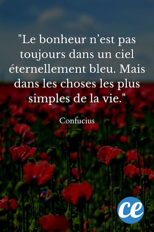 118 Citations Sur le Bonheur (Pour Retrouver le Sourire).