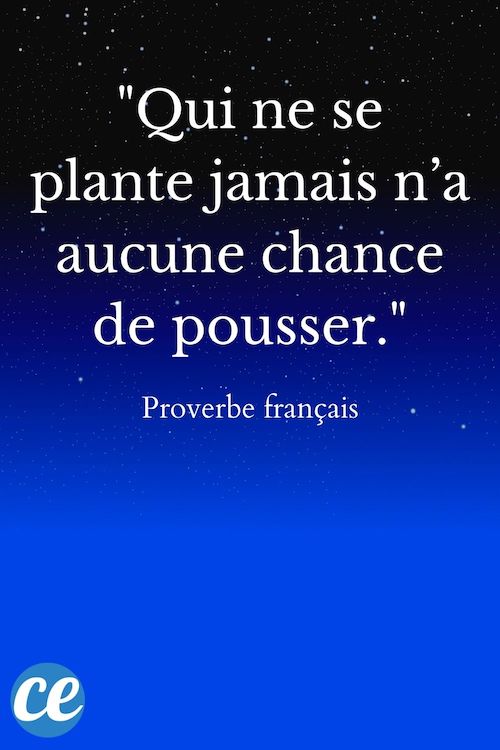 76 Citations Pour Se Remonter le Moral Illico.