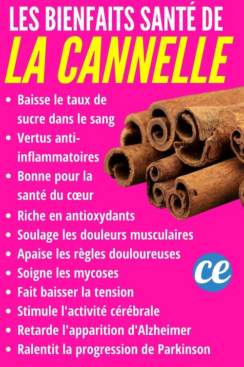 Les 9 Bienfaits de la Cannelle Sur la Santé (Prouvés Scientifiquement).