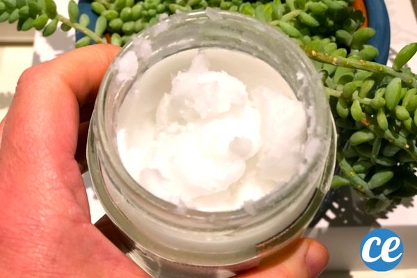 Huile de Coco : Quels Sont les Dangers Pour la Santé