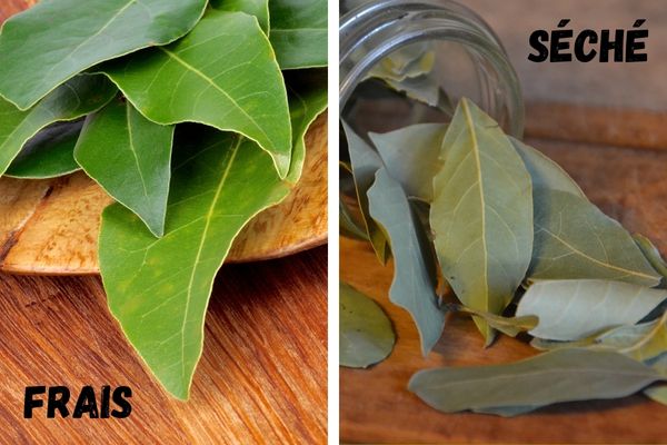 Pourquoi Mettre des Feuilles de Laurier au Frigo ? L'Astuce de Nos ...