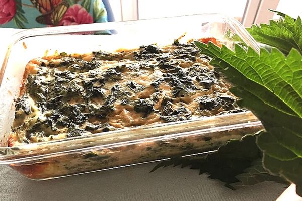 34 Recettes Délicieuses à Base d'Orties (Faciles et Rapides à Faire).