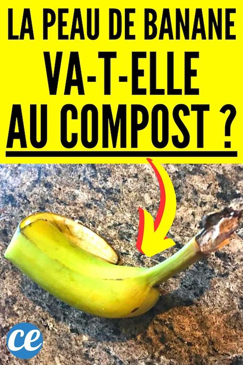 Est-Ce Que la Peau de Banane Va au Compost