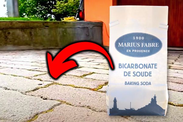 Comment Nettoyer les Pavés Autobloquants au Naturel (Et Raviver leurs ...