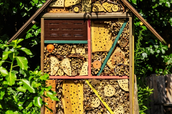 Bêtes d’Orage : 9 Astuces Pour Se Débarrasser de Ces Petits Insectes de ...