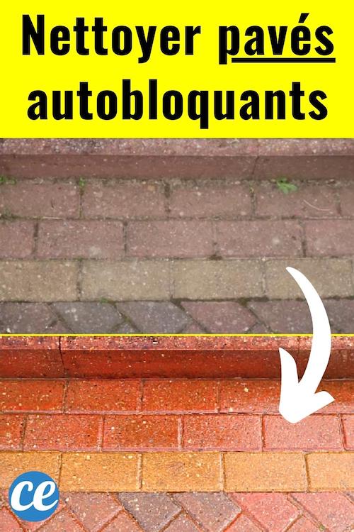 Comment Nettoyer les Pavés Autobloquants au Naturel (Et Raviver leurs ...