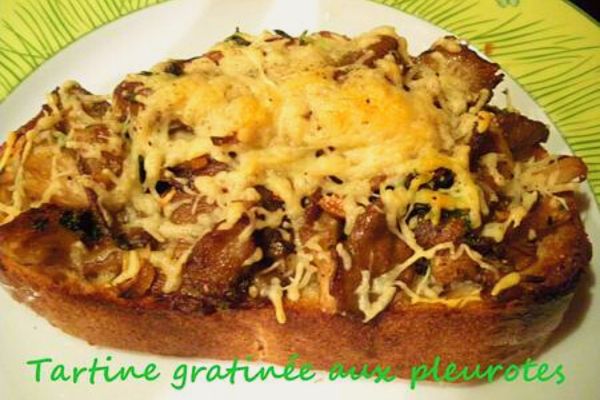 45 Recettes de Tartines Salées Gourmandes (Faciles et Rapides à Faire).