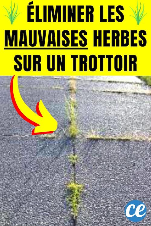 Comment Éliminer les Mauvaises Herbes Sur un Trottoir ? Le Désherbant Radical.