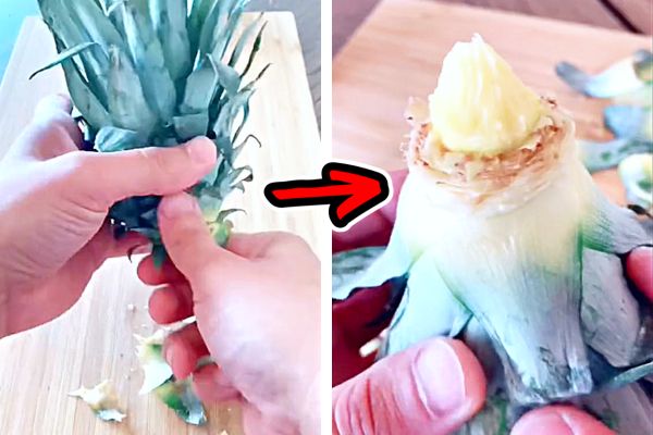 Comment Faire Pousser un Ananas Chez Soi (à Partir de Ses Feuilles).