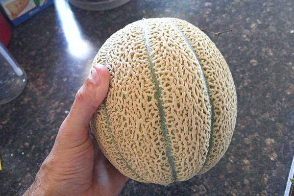 11 Bienfaits Méconnus du Melon Pour la Santé.