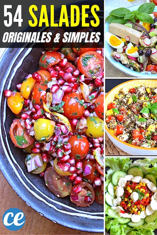 54 Idées de Salades Originales et Simples Pour l'Été.