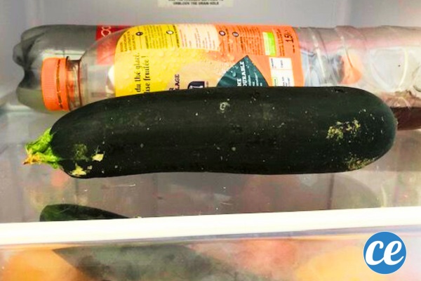 6 Astuces Pour Conserver les Courgettes Pendant des Mois Facilement.