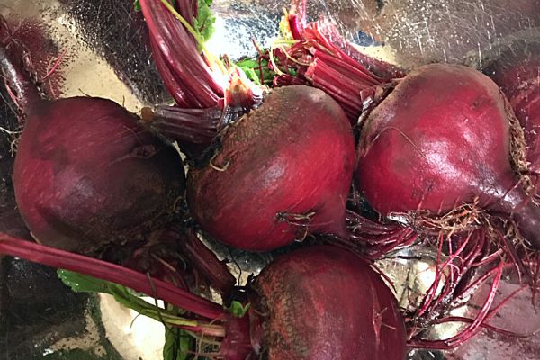 Les 9 Bienfaits Insoupçonnés de la Betterave Pour la Santé.